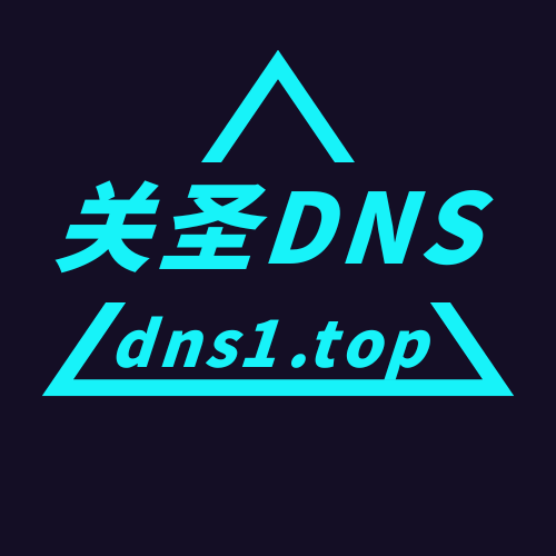 DNS检测工具 - 检查自己的DNS地址和IP地址 - 18bit